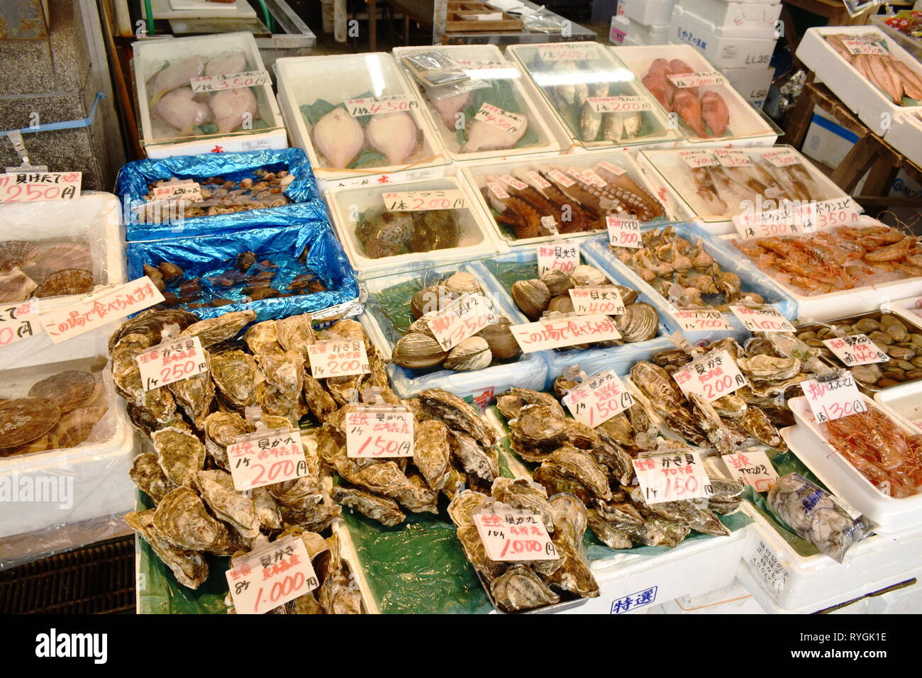 Purchased fresh fish hi-res stock photography and images - Alamy