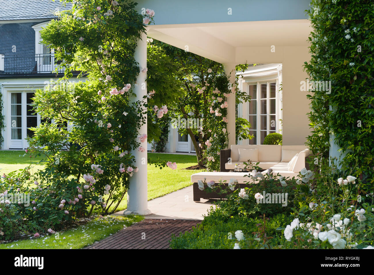 Column Roses Stock Photos & Column Roses Stock Images - Alamy