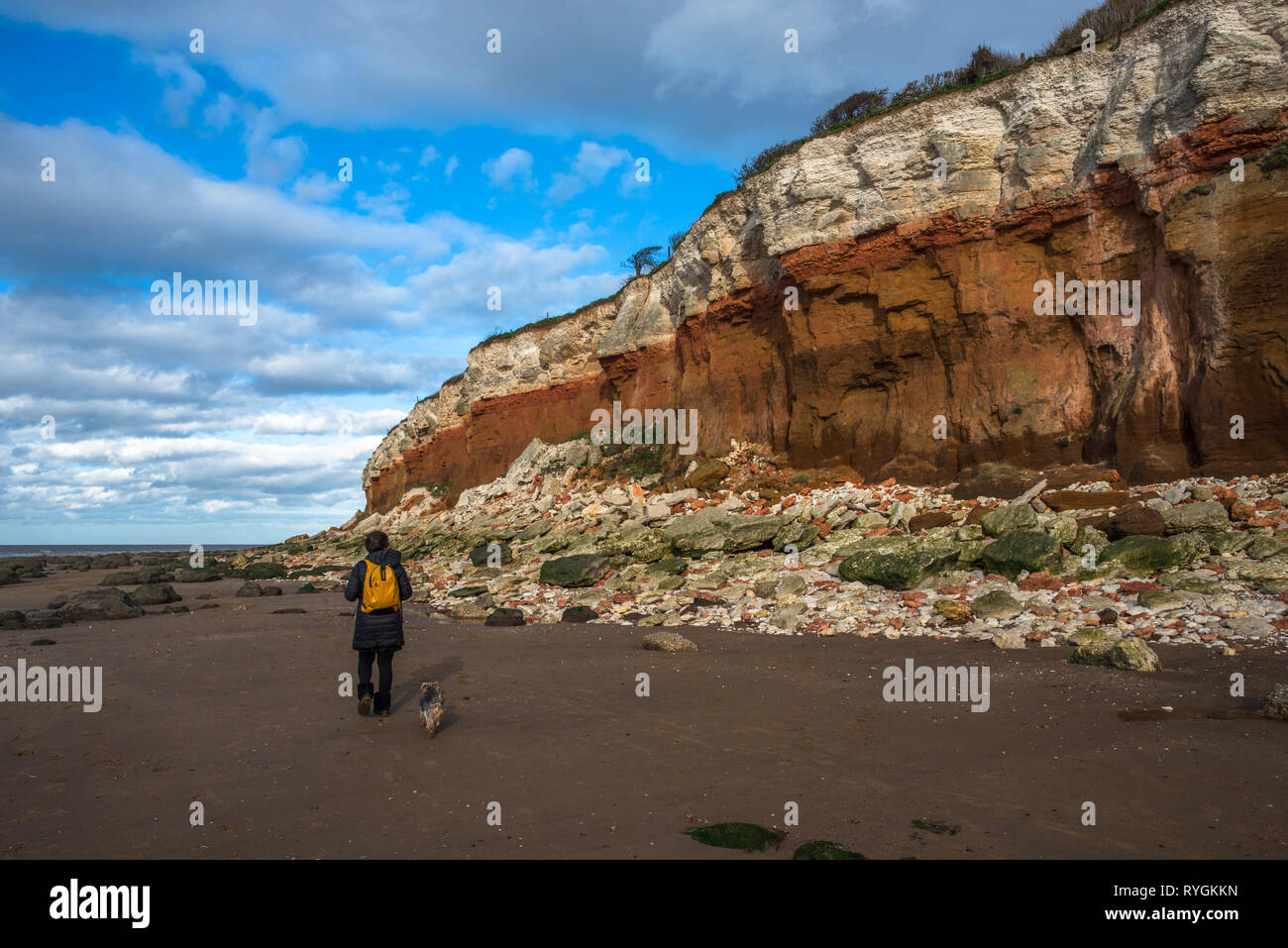 Hunstanton cliffs walker hi-res stock photography and images - Alamy