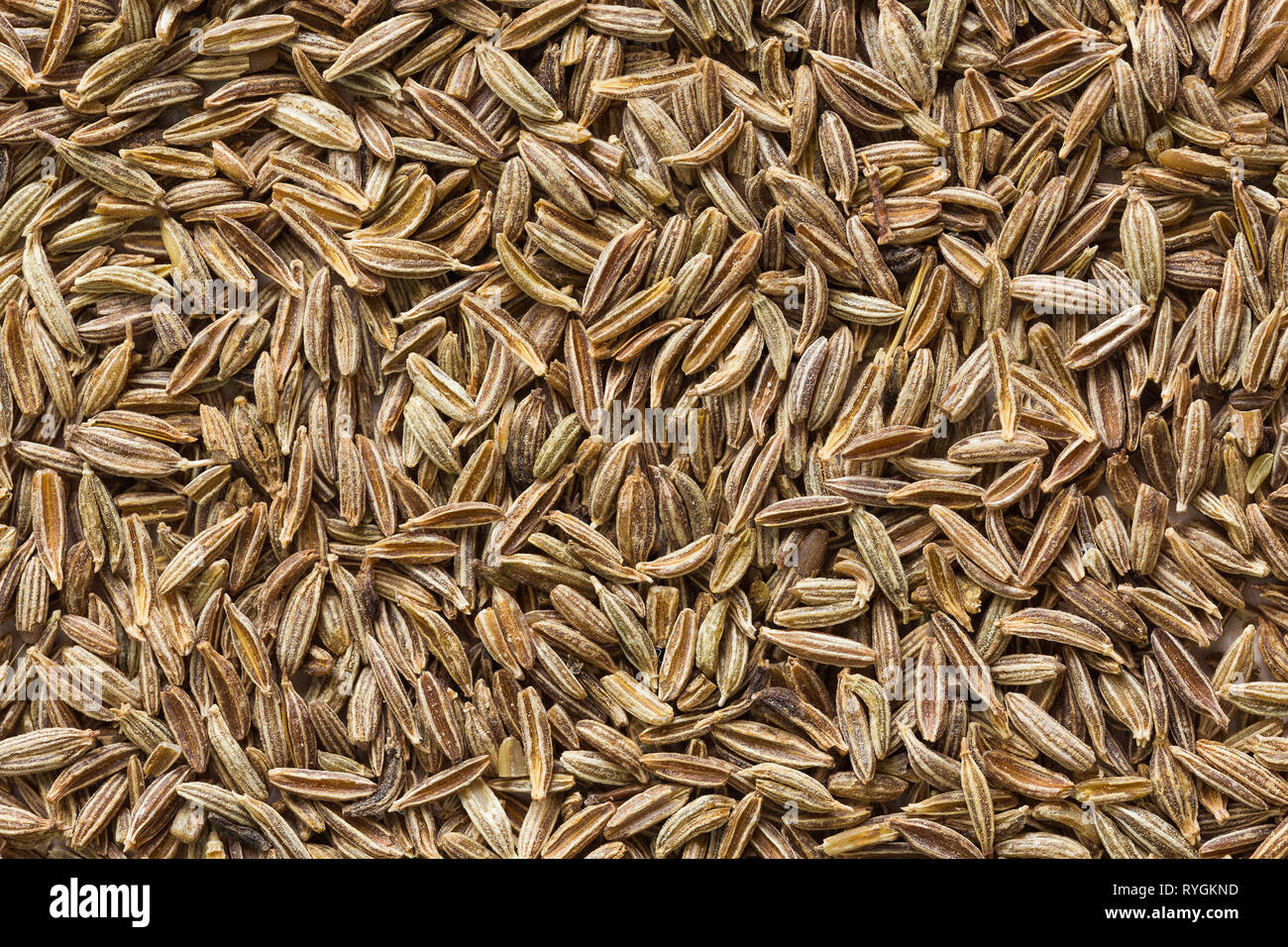 Closeup cumin hi-res stock photography and images - Alamy