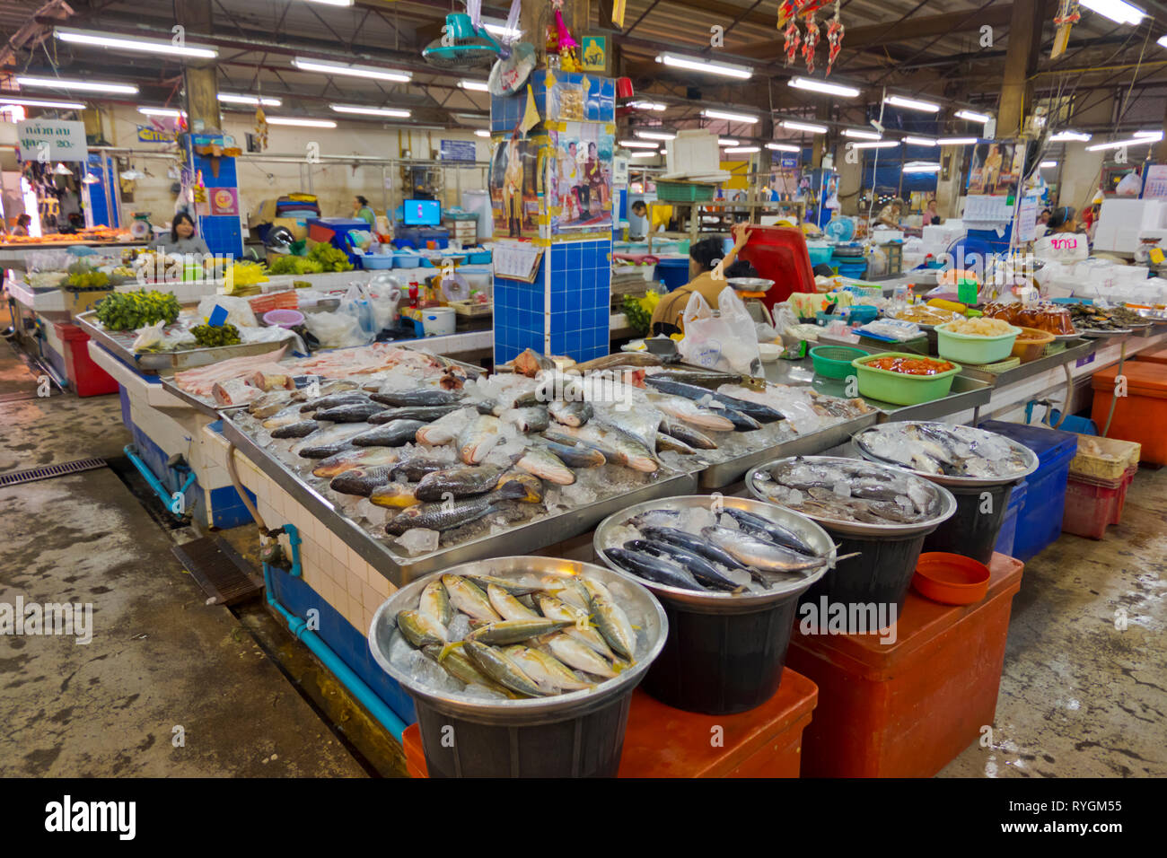 Fish and seafood stalls, indoor market, Trat, Thailand Stock Photo - Alamy