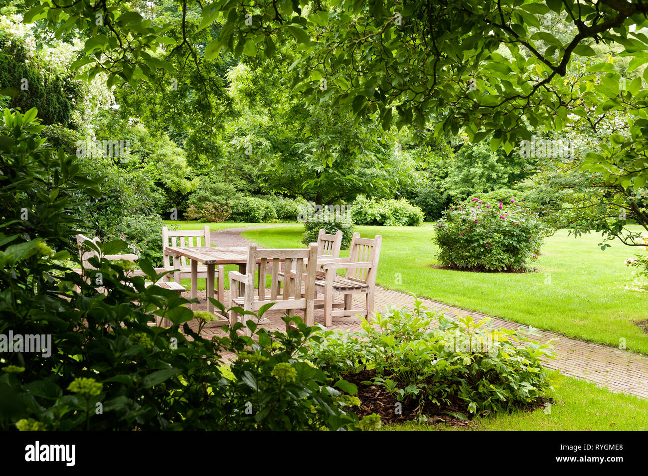Table Chair Under Tree In High Resolution Stock Photography and Images ...