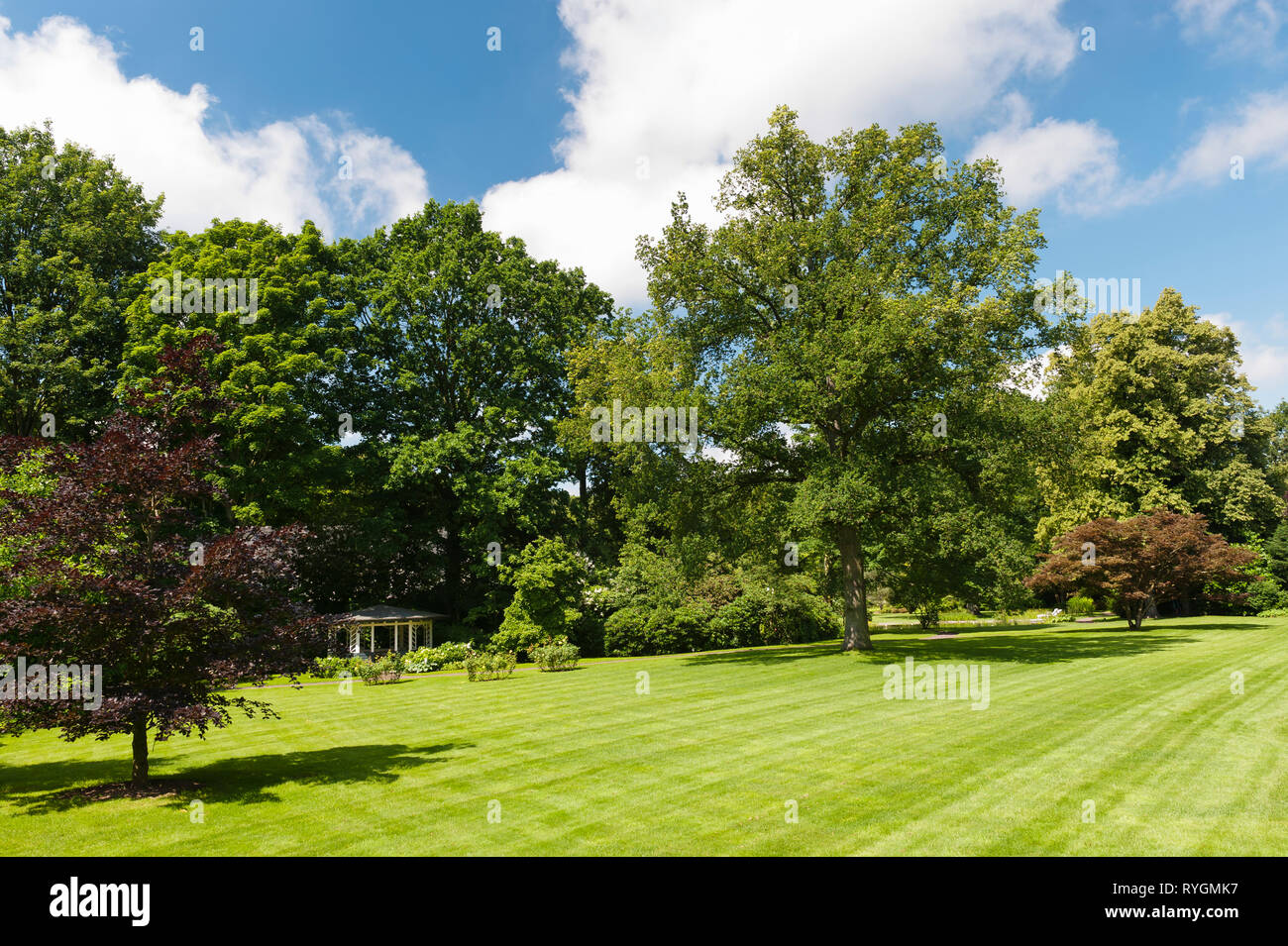 Mixture trees hi-res stock photography and images - Alamy