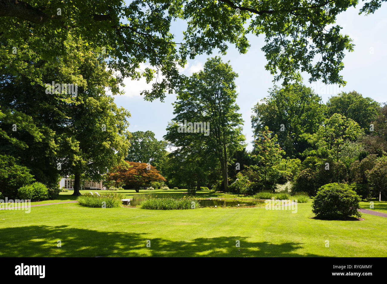 Trees around pond hi-res stock photography and images - Alamy