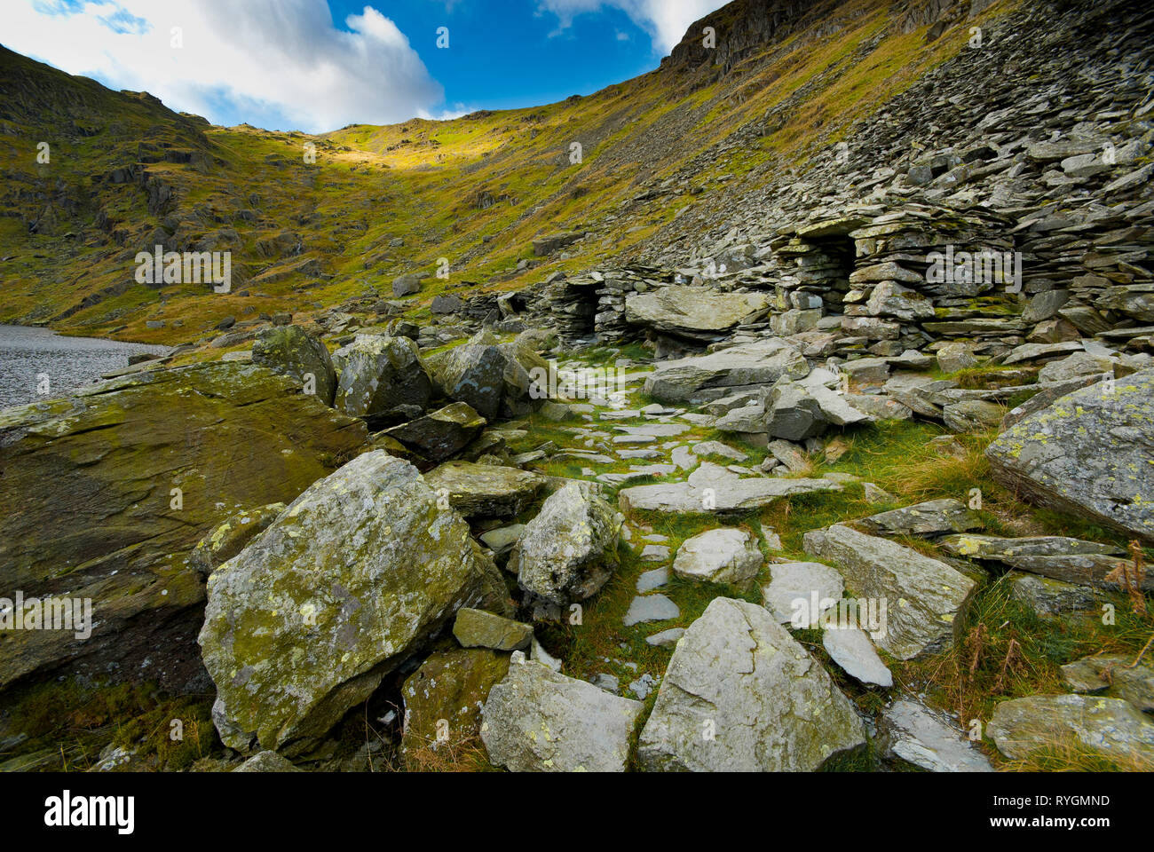 Protect nan hi-res stock photography and images - Alamy