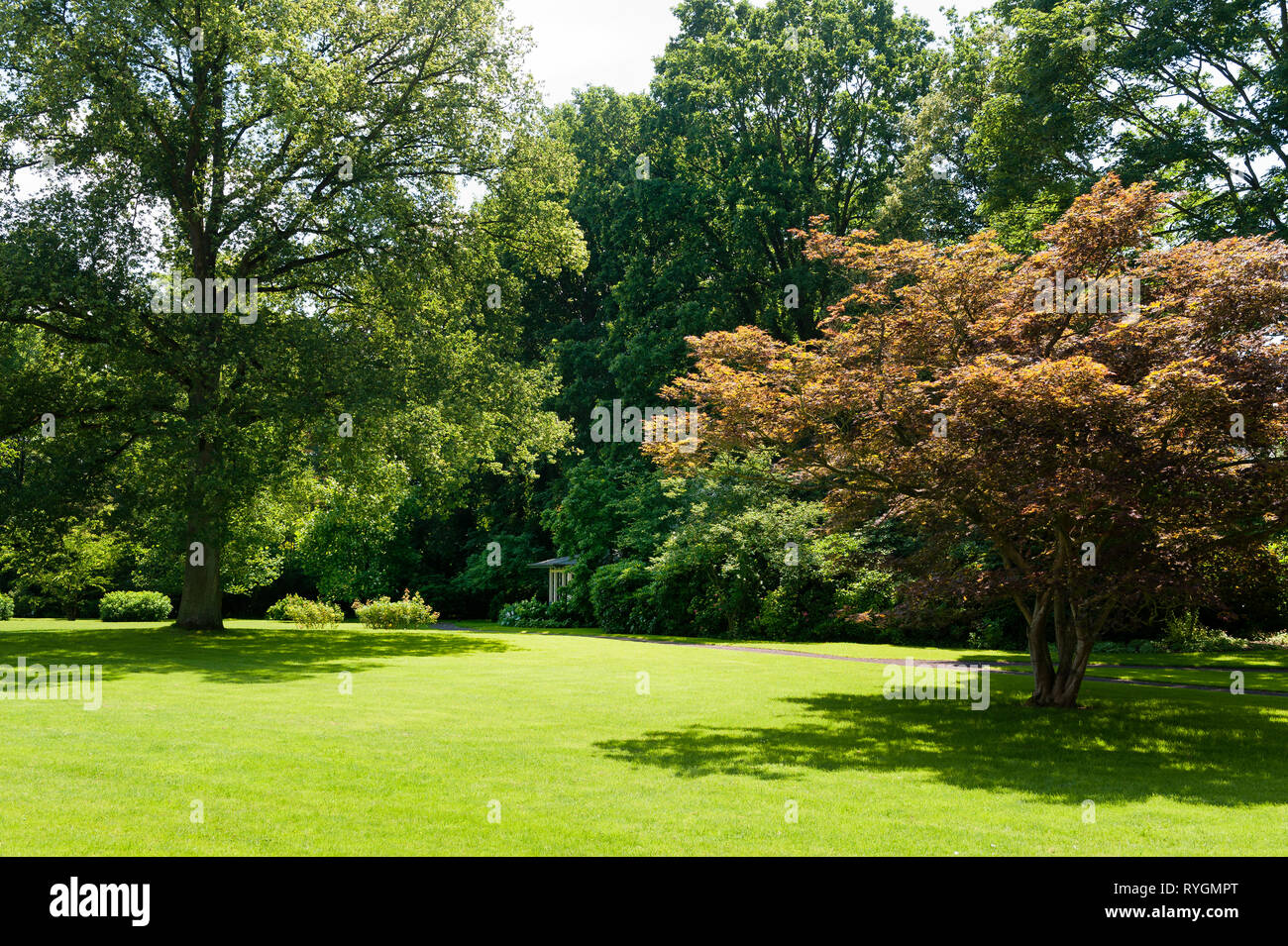 Very neat lawn hi-res stock photography and images - Alamy