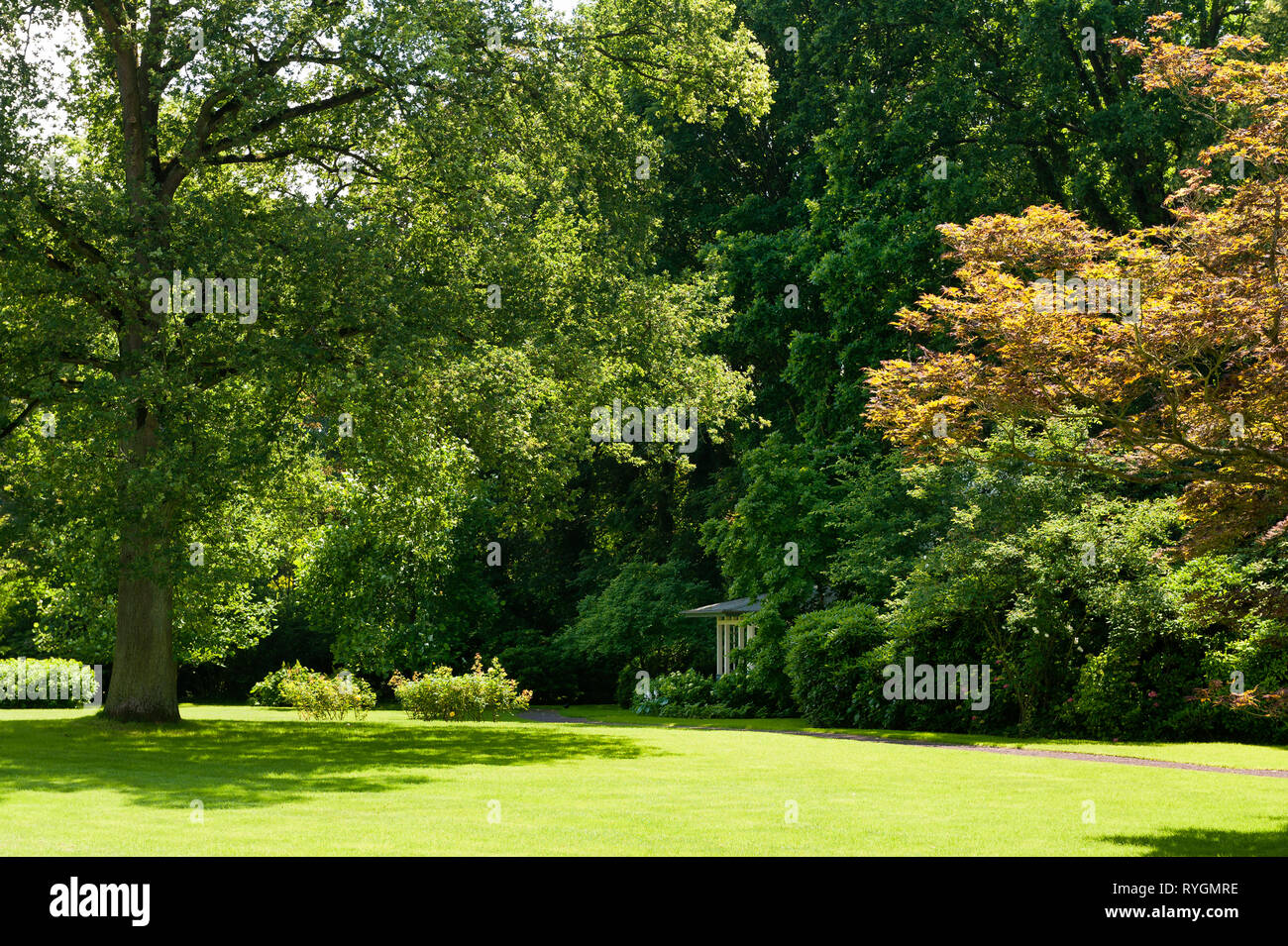 Various trees plants growing hi-res stock photography and images - Alamy