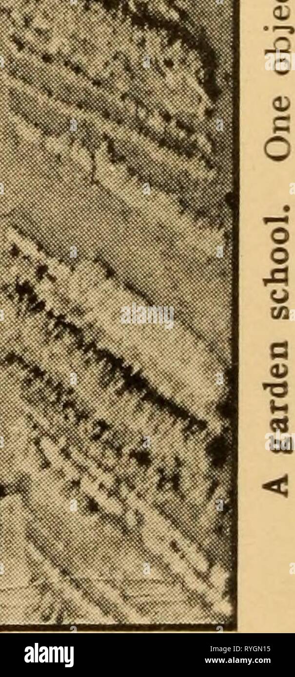 Elementary principles of agriculture; a Stock Photo - Alamy