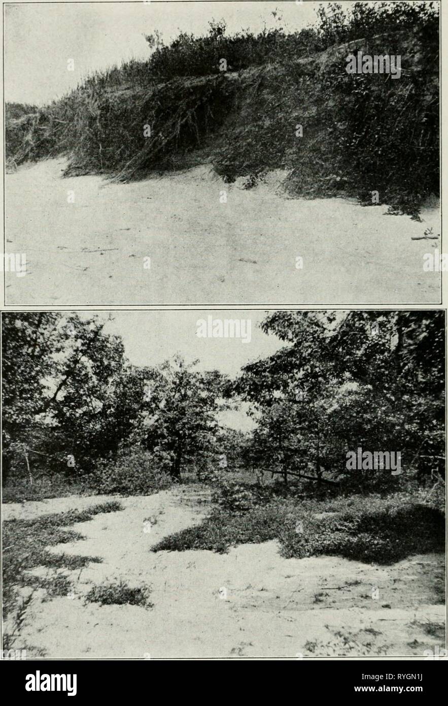 The Dunesland heritage of Illinois Stock Photo - Alamy