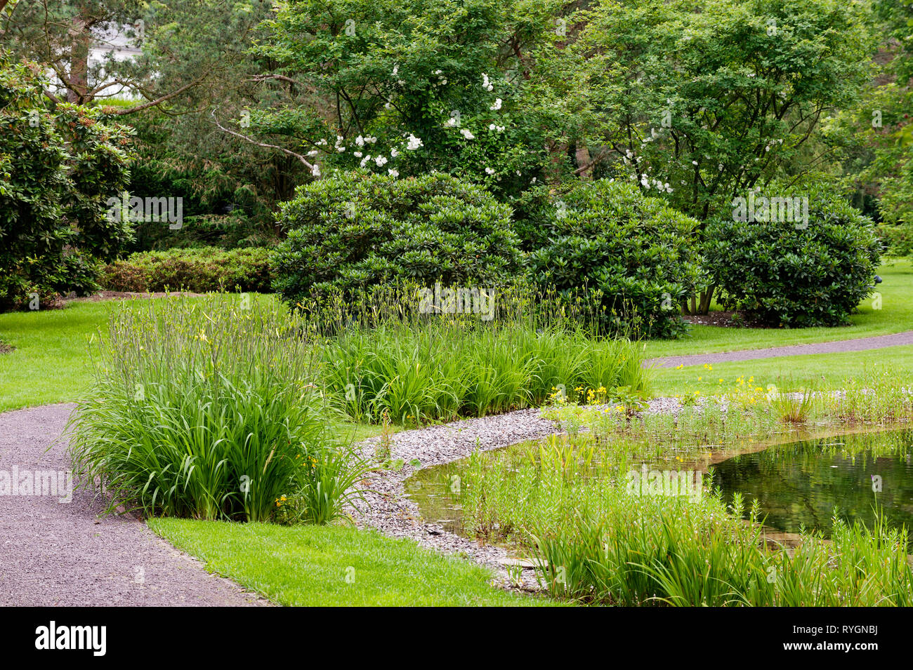 Gravel path topiary hi-res stock photography and images - Alamy