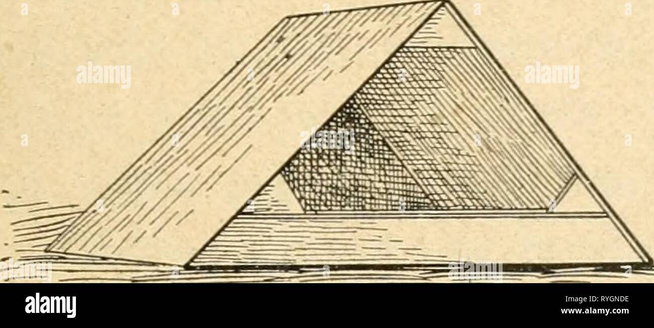 The egg question solved (1904 Stock Photo - Alamy The egg question solved (1904 Stock Photo - Alamy