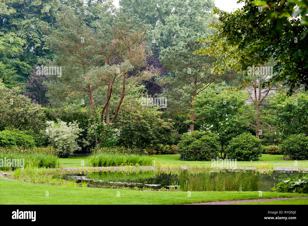 Various trees plants growing hi-res stock photography and images - Alamy