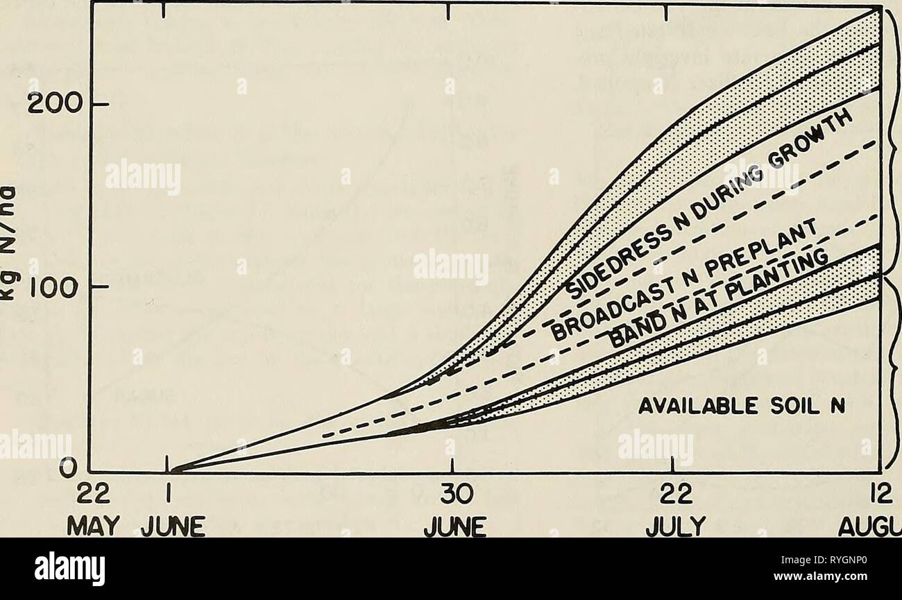 Efficient use of nitrogen on Stock Photo - Alamy
