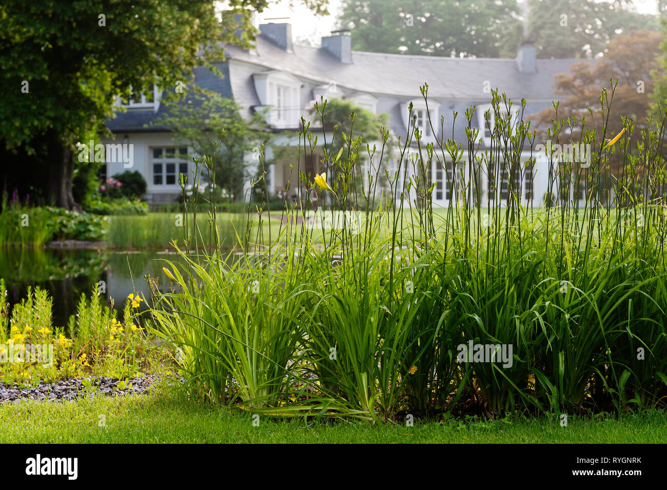 Pond by colonial house Stock Photo - Alamy