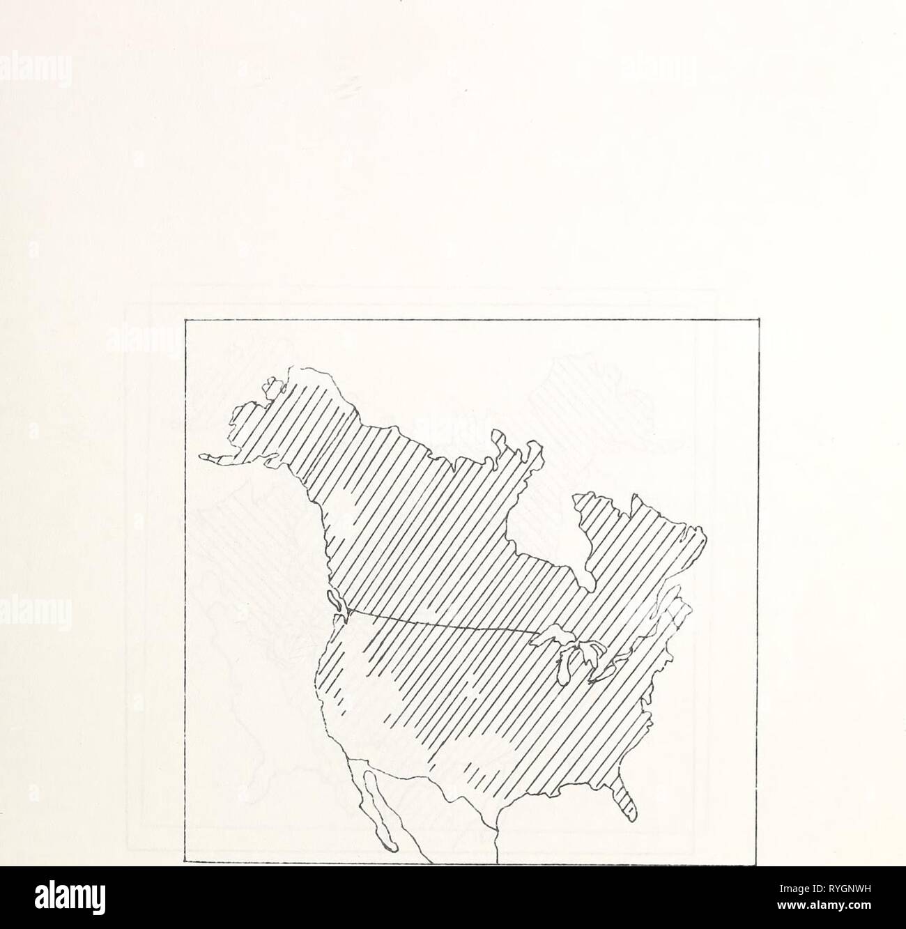 An ecological and taxonomic review of the swift fox (Vulpes velox) with ...
