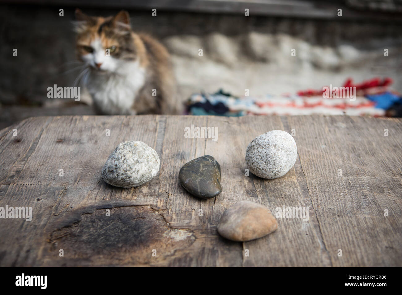 Stones for divination on a wooden table with a cat in the background, a ...