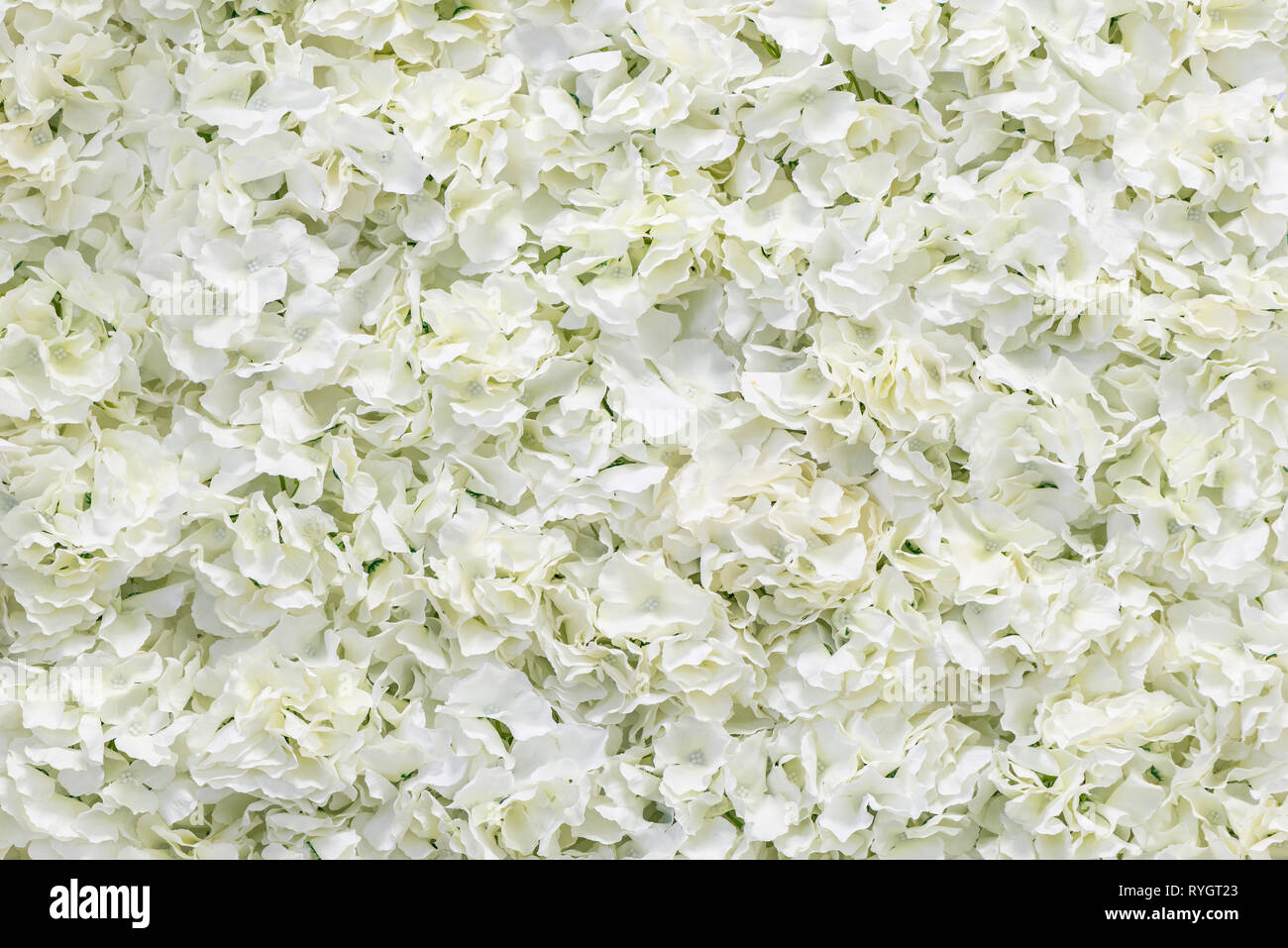 White handmade flower background by the flower shop Stock Photo - Alamy