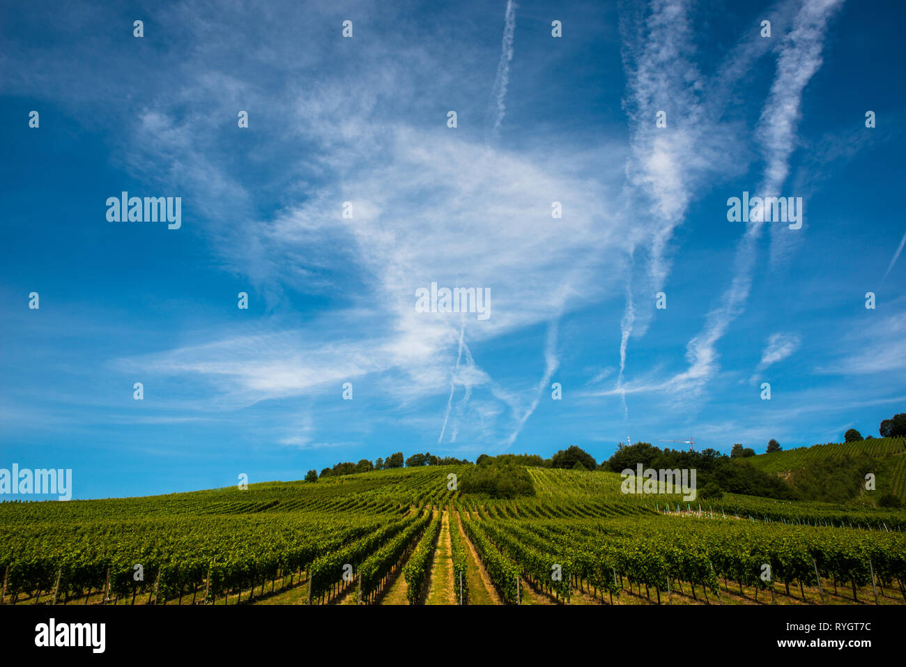 Jet trails in the sky over the Mosel river Stock Photo - Alamy