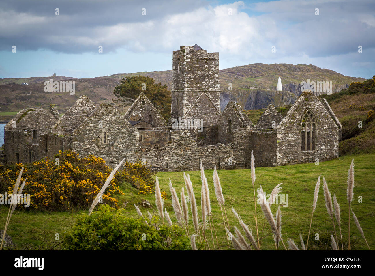 daytrip to Sherkin Island Stock Photo - Alamy