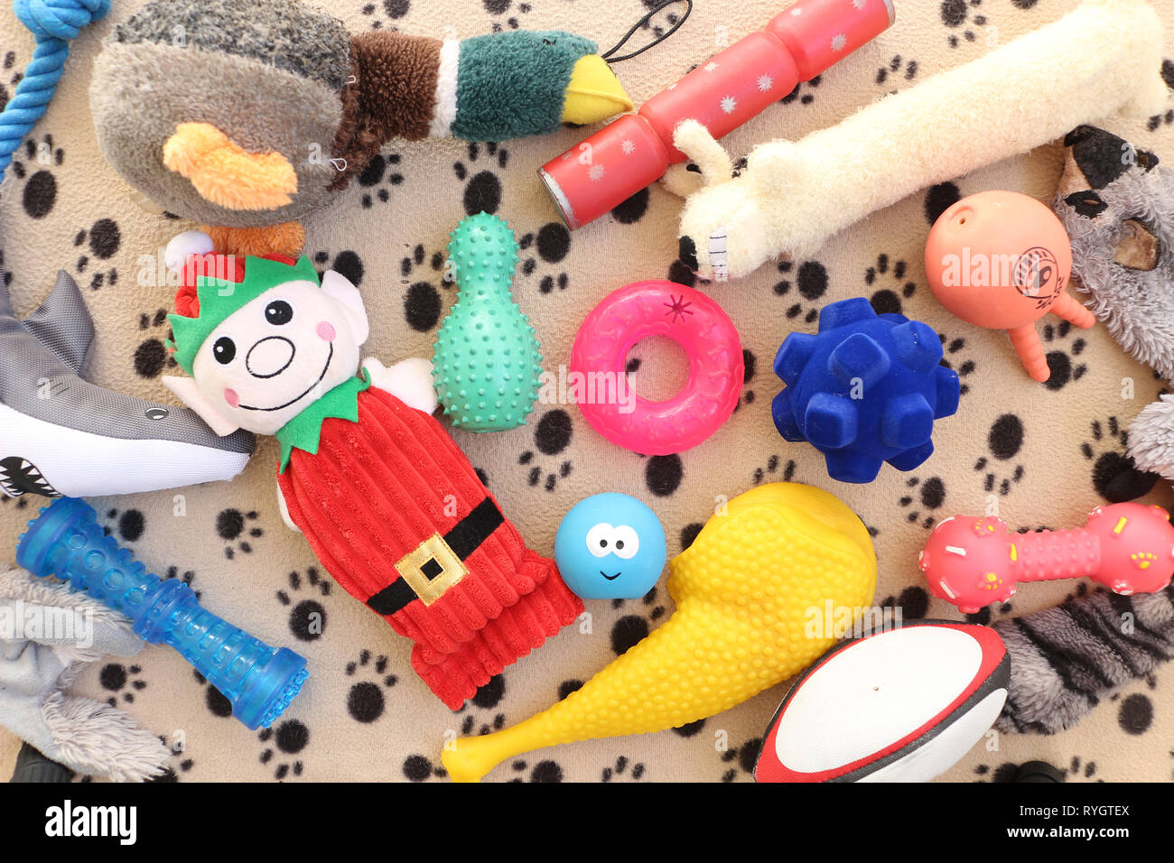 Rubber dogs hi-res stock photography and images - Alamy