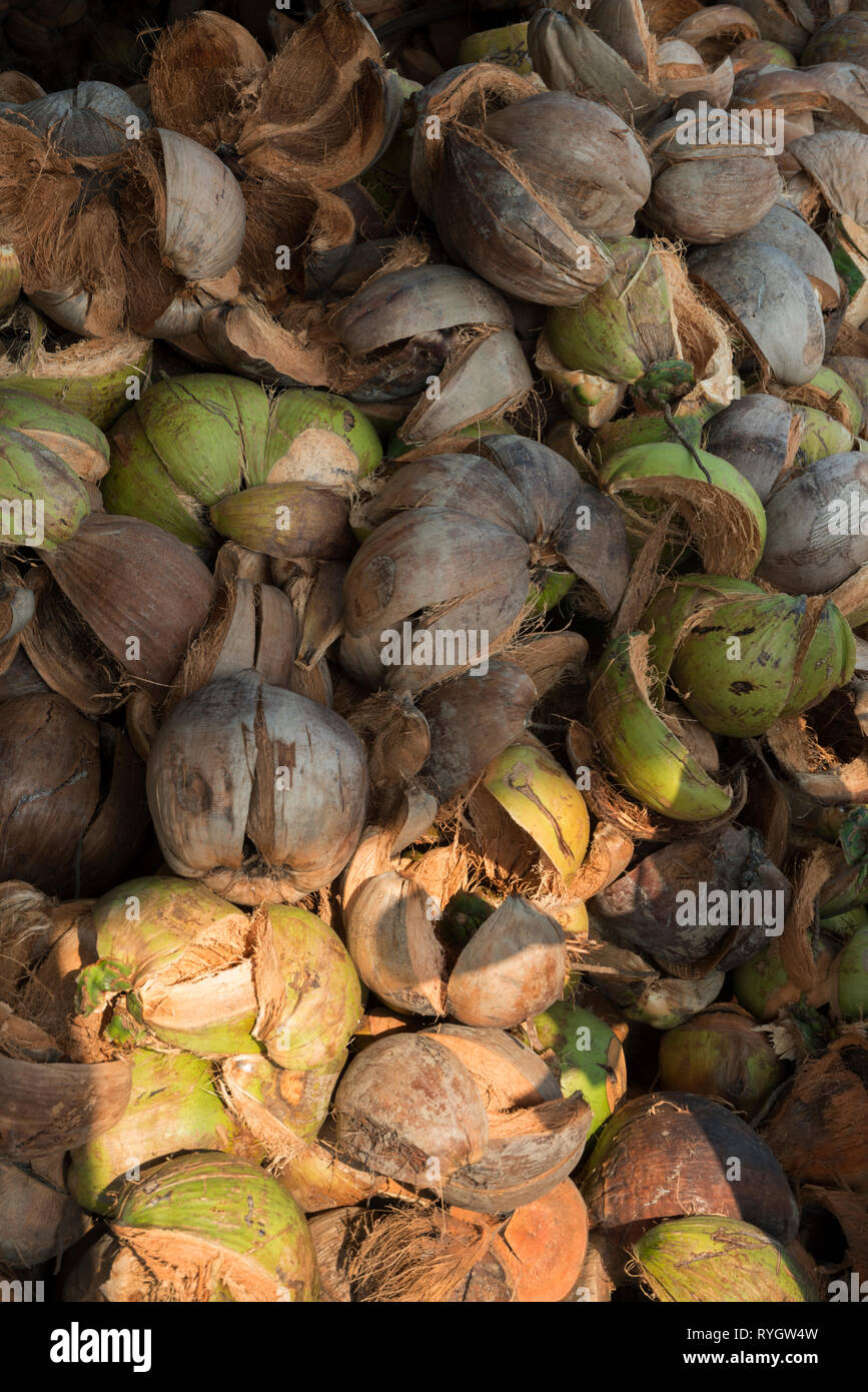 Pile of coconut husks hi-res stock photography and images - Alamy
