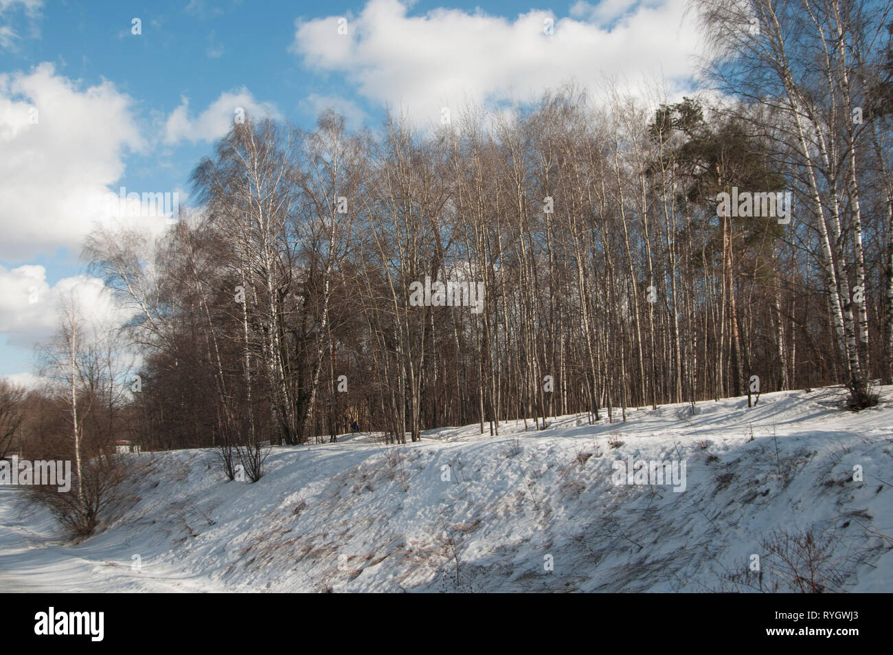 Early spring landscape with a park after snowstorm Stock Photo - Alamy