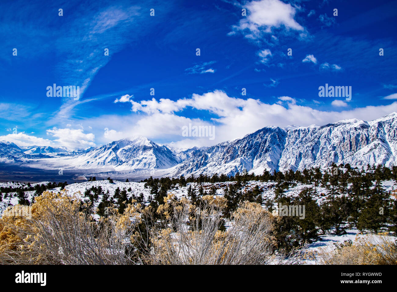 Eastern slope hi-res stock photography and images - Alamy