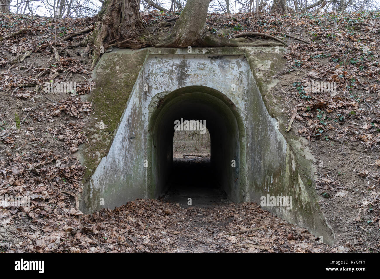 Przemysl poland world war hi-res stock photography and images - Alamy