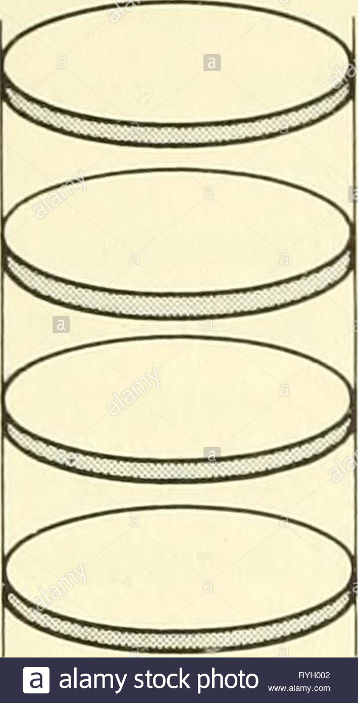 Birefringence Stock Photos & Birefringence Stock Images - Alamy