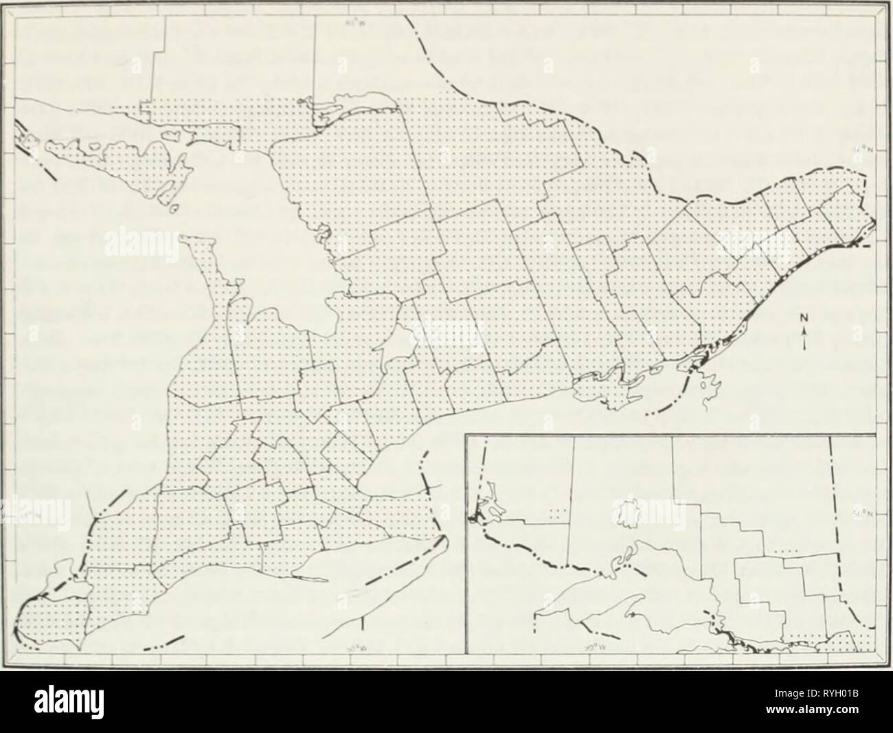 The earthworms (lumbricidae and sparganophilidae Stock Photo - Alamy