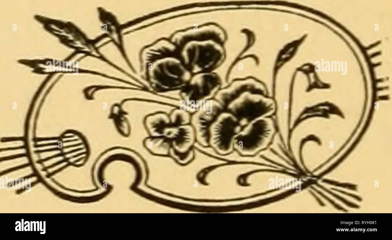 Driving as I found it Stock Photo - Alamy