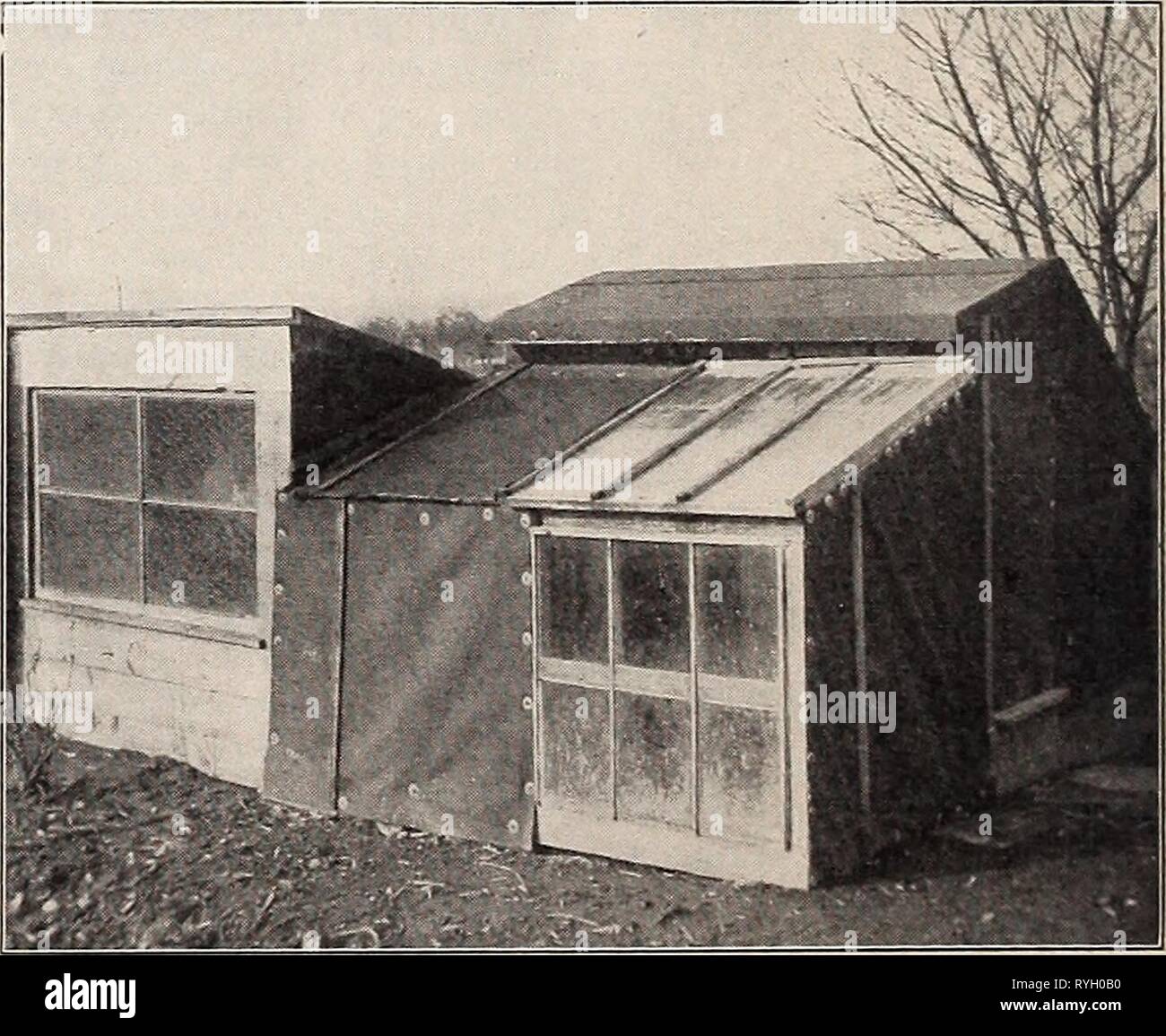 Eggs and egg farms Stock Photo - Alamy