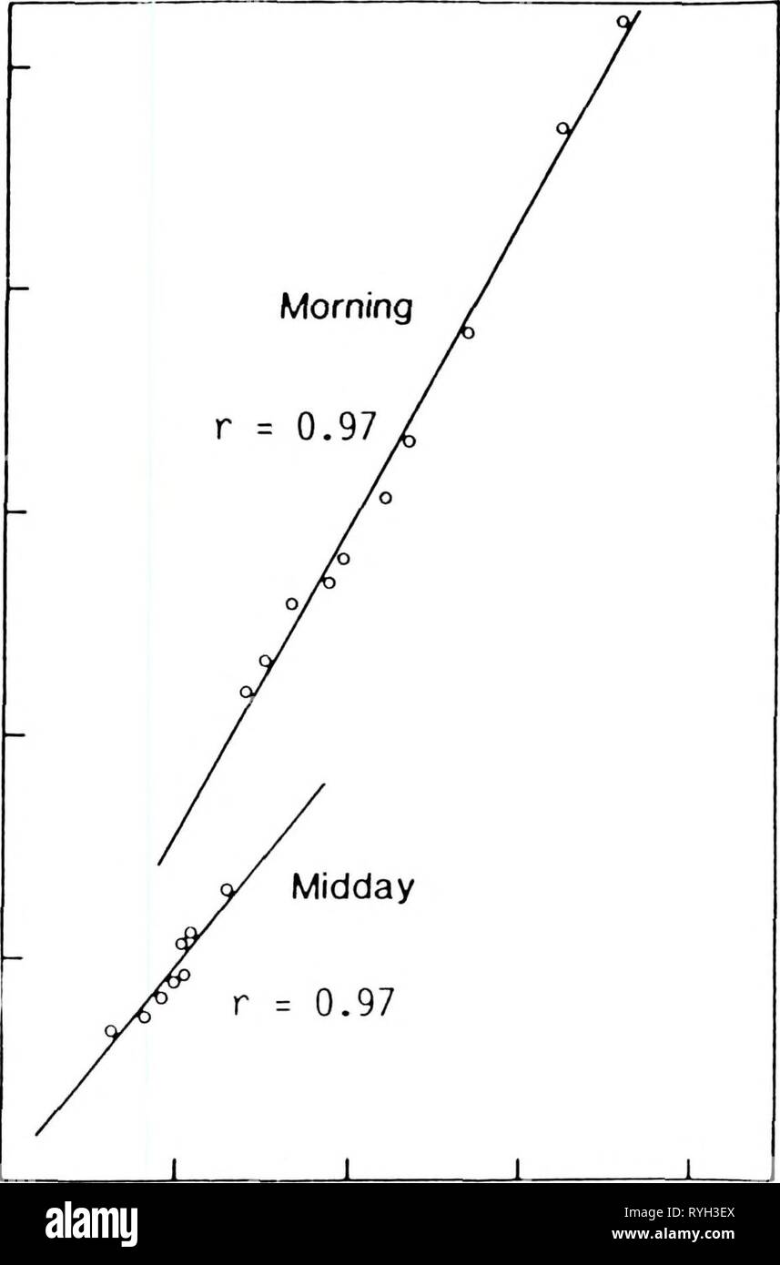 00 to 17 Black and White Stock Photos & Images - Alamy