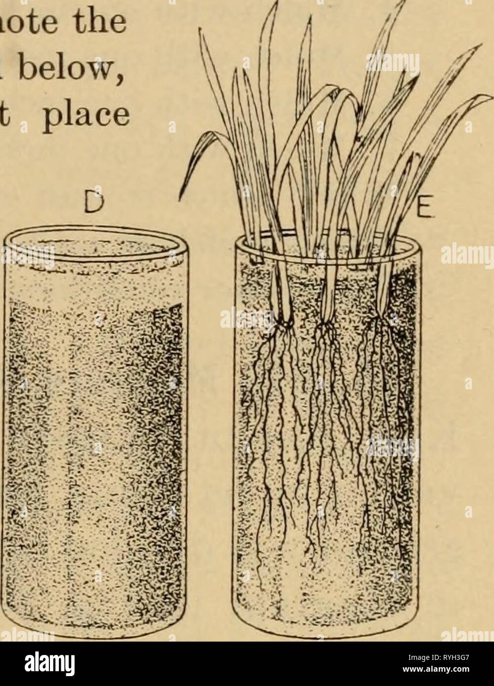 Elementary principles of agriculture; a Stock Photo - Alamy