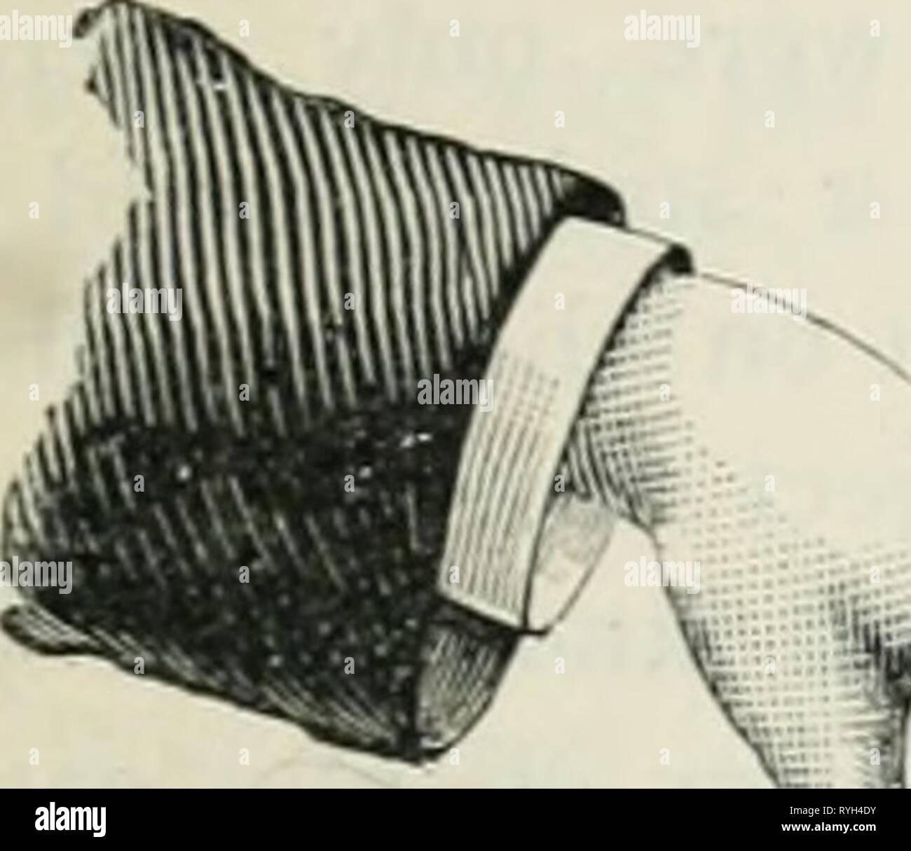 Elementary physics and chemistry first Stock Photo - Alamy