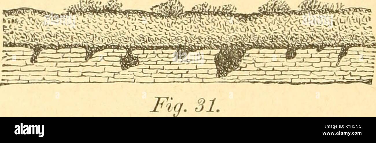 Soil Drawing
