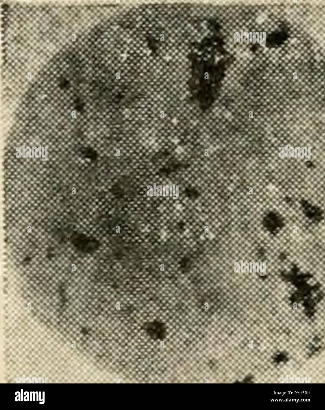 Electron microscope drawing hi-res stock photography and images - Alamy