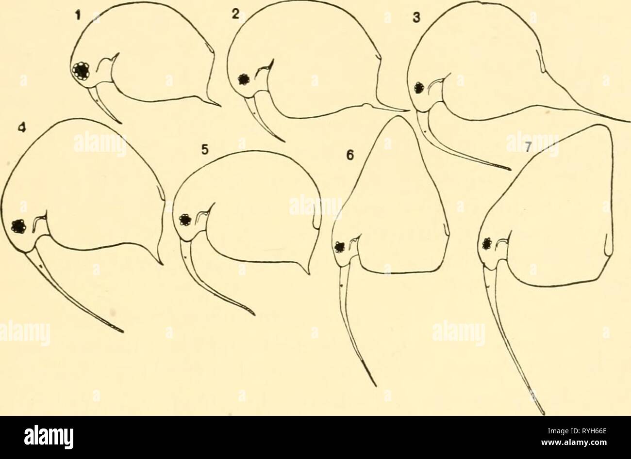 Trans portation hi-res stock photography and images - Alamy