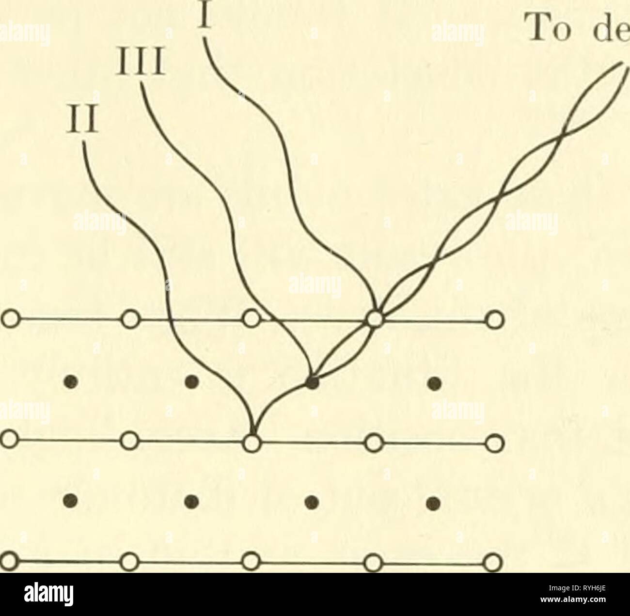X ray diffraction hi-res stock photography and images - Alamy