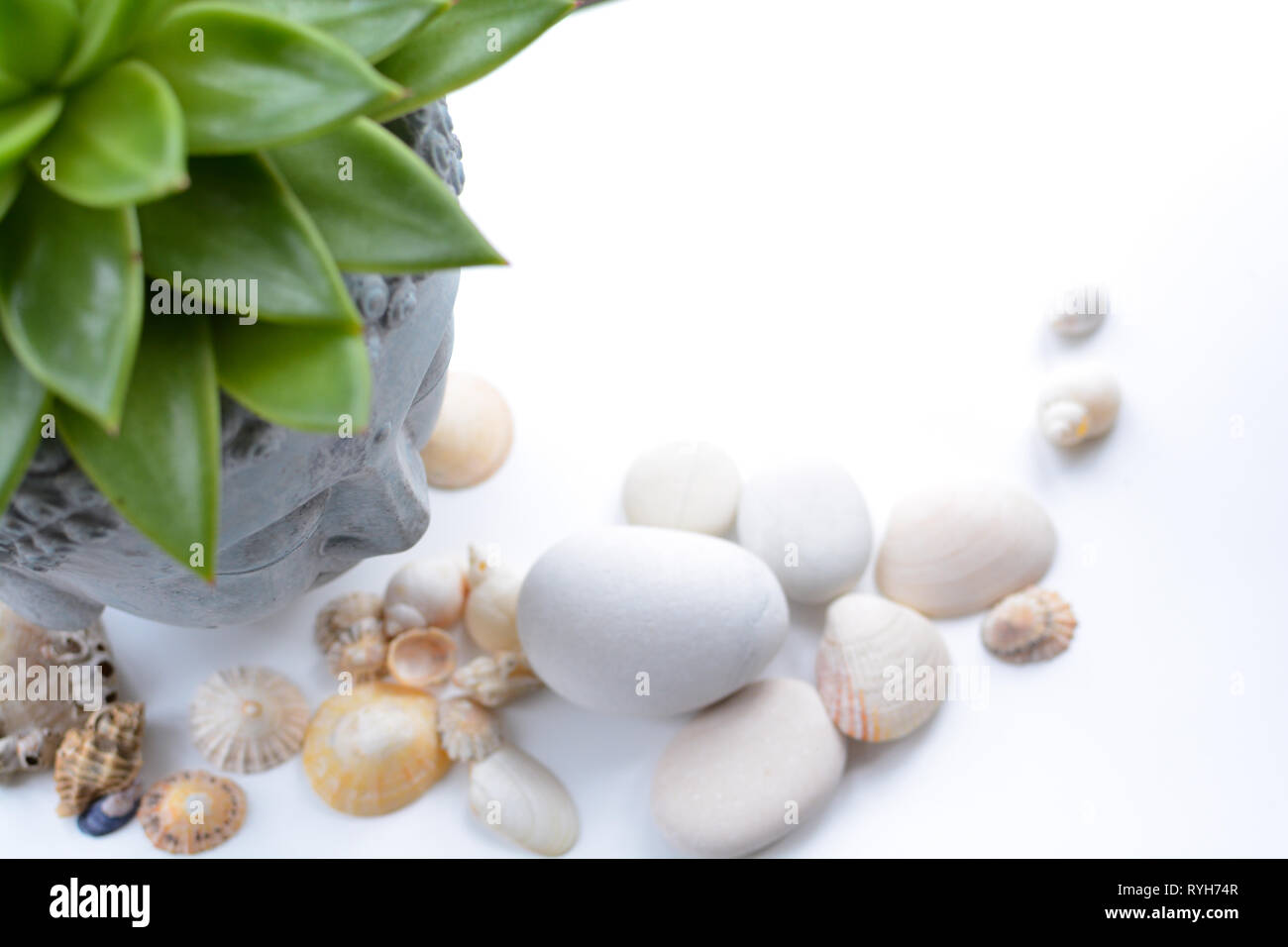 Still life and objects hi-res stock photography and images - Alamy
