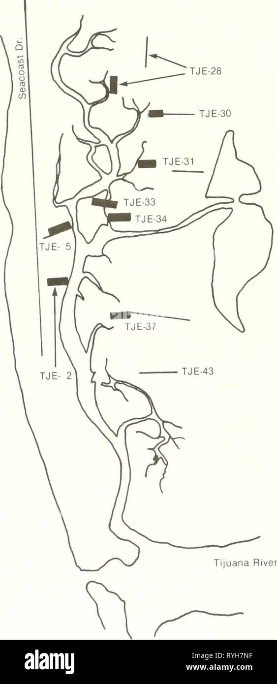 Lower california map hi-res stock photography and images - Alamy