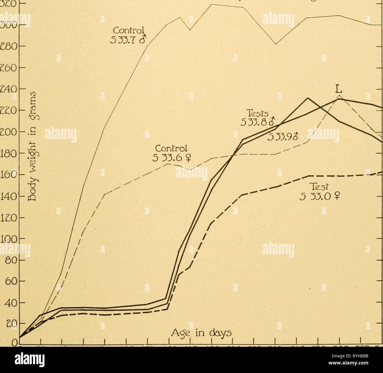 The effects of inanition and Stock Photo - Alamy