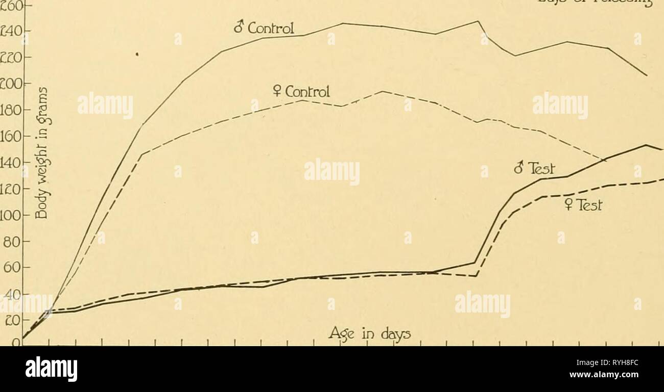 The effects of inanition and Stock Photo - Alamy