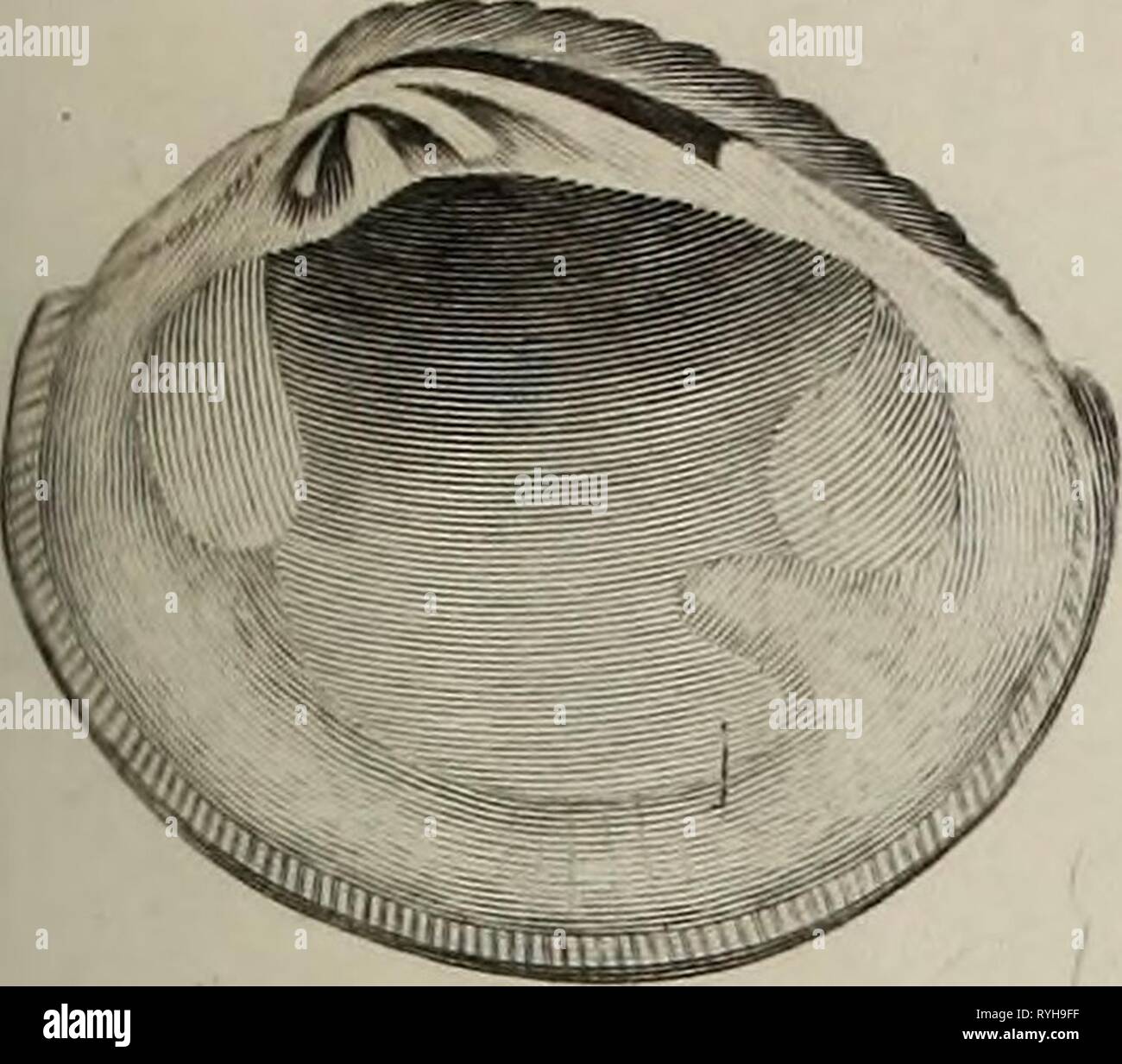 Edinburgh encyclopedia 1830 hi-res stock photography and images - Alamy