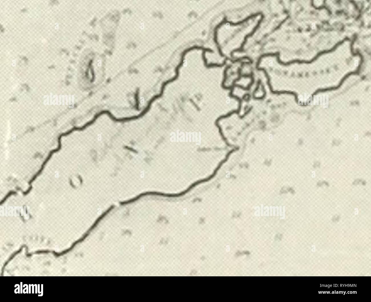 Ecology of Buzzards Bay : an estuarine profile ecologyofbuzzard00howe ...