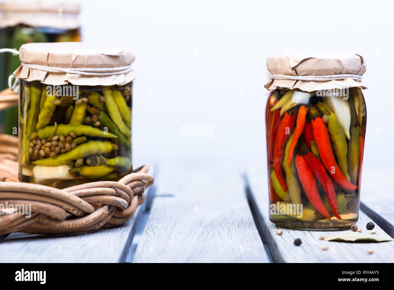 Digestive system of birds hi-res stock photography and images - Alamy