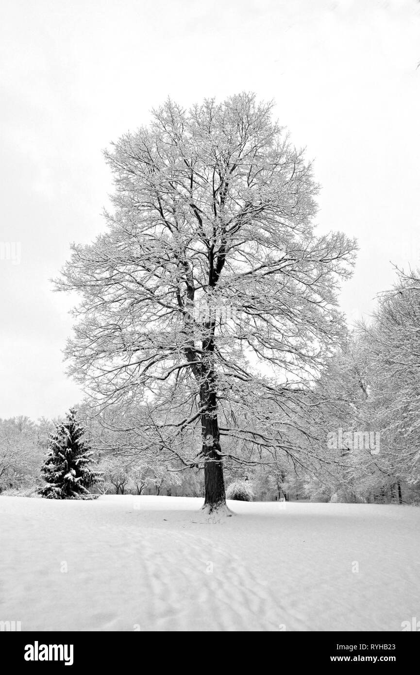 See all four seasons beautifully represented in the same scene Stock ...