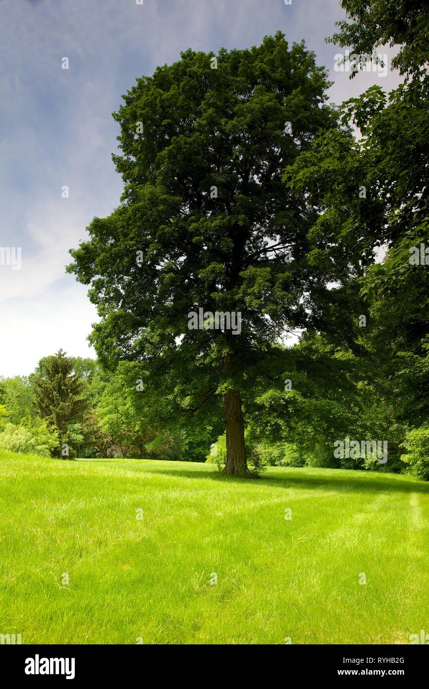 See all four seasons beautifully represented in the same scene Stock ...