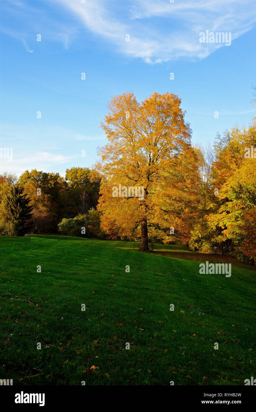 See all four seasons beautifully represented in the same scene Stock ...