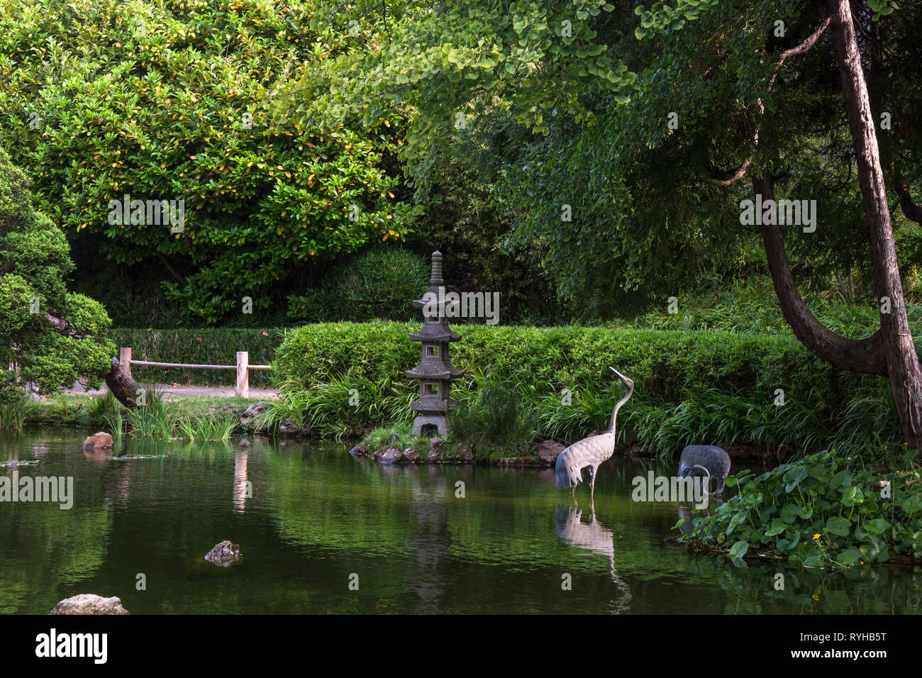Sequoya hi-res stock photography and images - Alamy